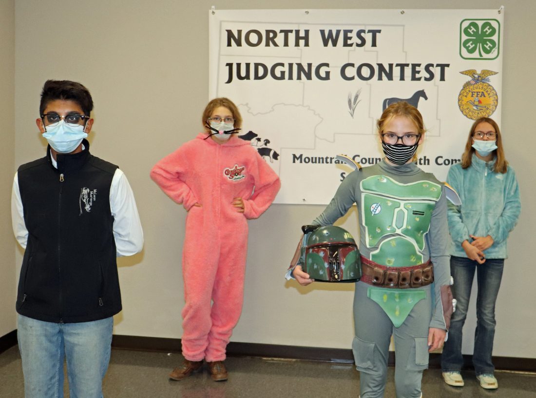 Northwest 4-H Contest a success | News, Sports, Jobs - Minot Daily News